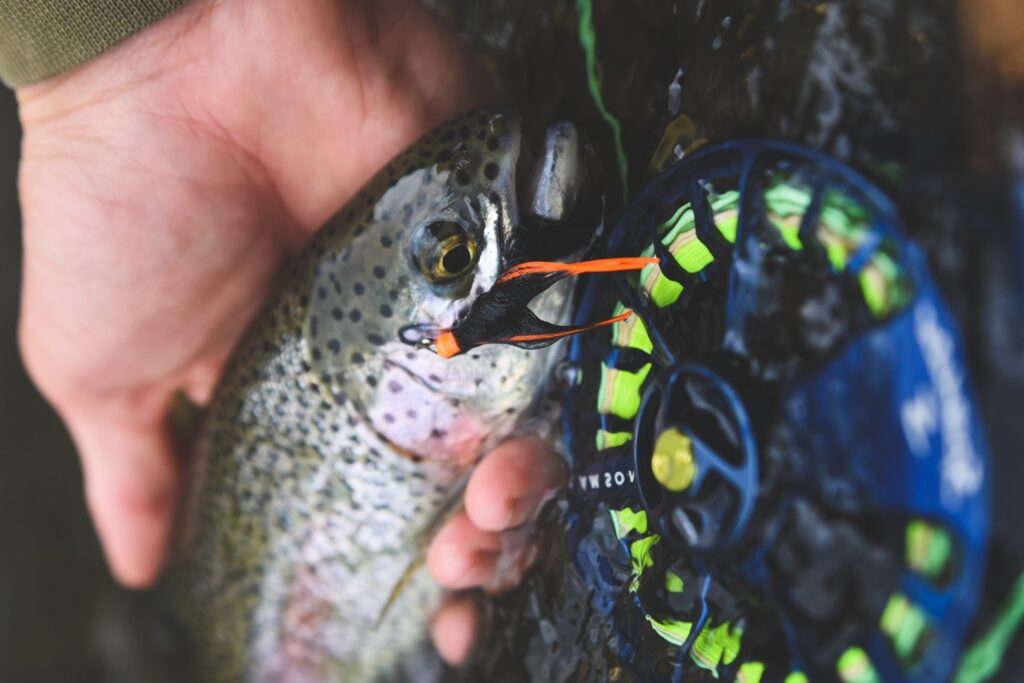 Leader Wheels – Ultragreen – Maxima USA Inc.